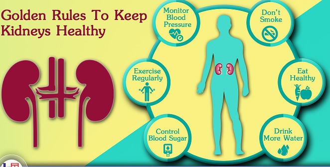 Kidney Protection in Heat Wave - Lanka News Line